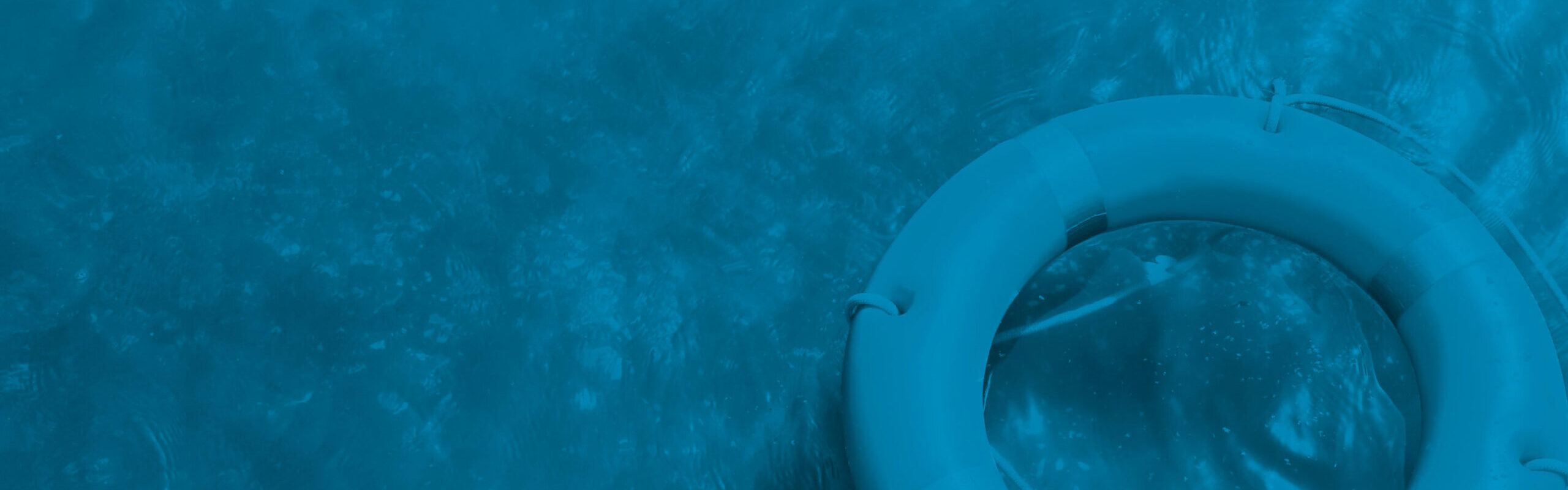 Easy-to-use online portal | CG BritCay | Cayman